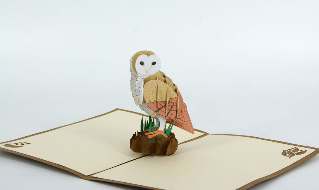 Barn Owl – Henry Pop-Up Cards