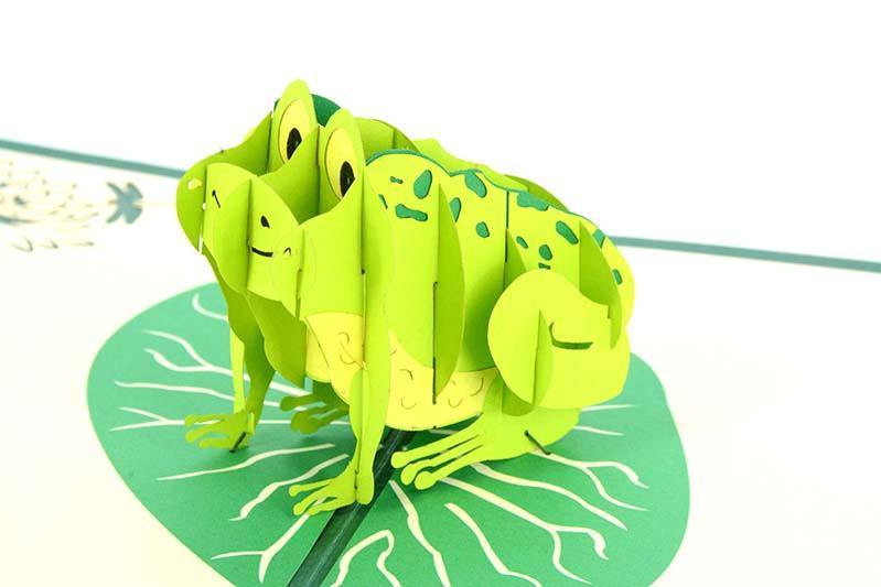 Frog – Henry Pop-Up Cards