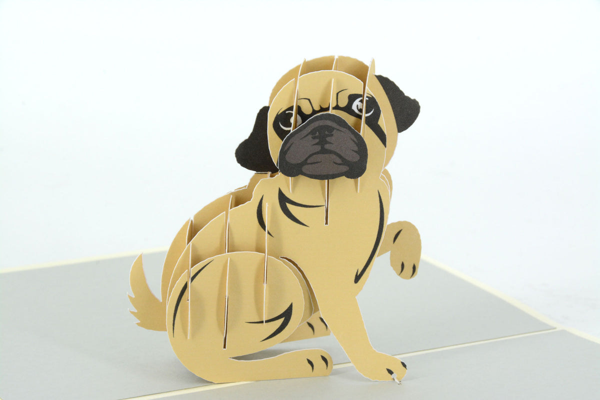 Pug Dog – Henry Pop-Up Cards